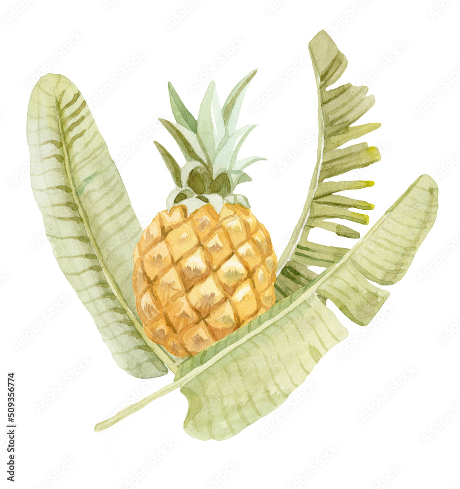 Watercolor bouquet, arrangement of tropical leaves and pineapple ...