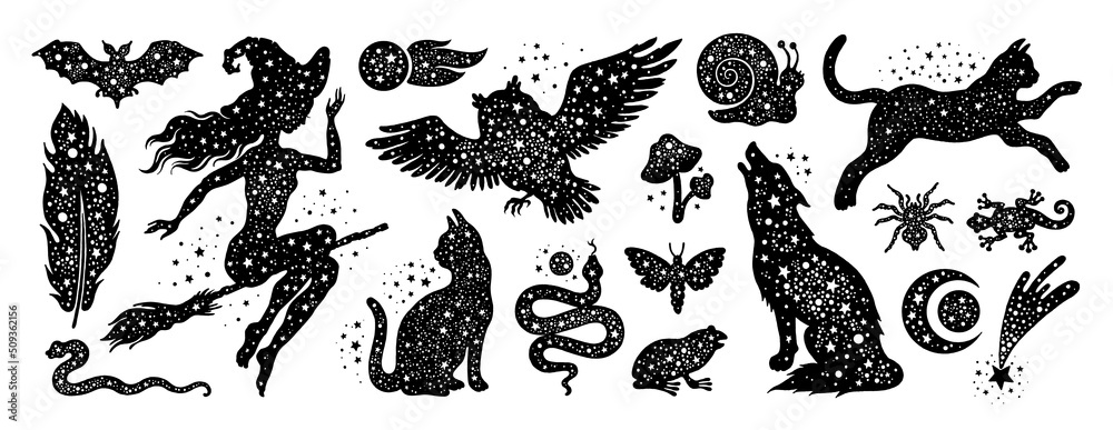 Witch mystic celestial vector. Magic witchcraft animals. Esoteric cat ...
