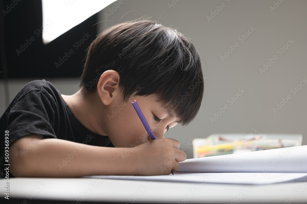 Asian boy about 5 years doing his homework, drawing and painting ...
