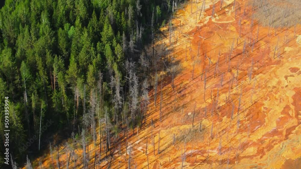 deforestation concept, dead forest aerial view. destruction of nature ...