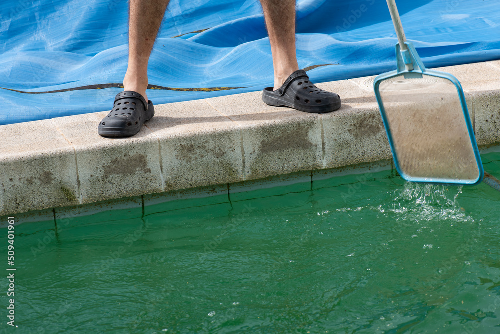 Piernas de persona que hace el mantenimiento de la piscina, agua verde ...