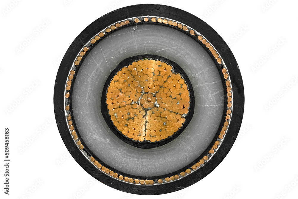 Close-up of high voltage copper coaxial cable cross-section, Isolated ...