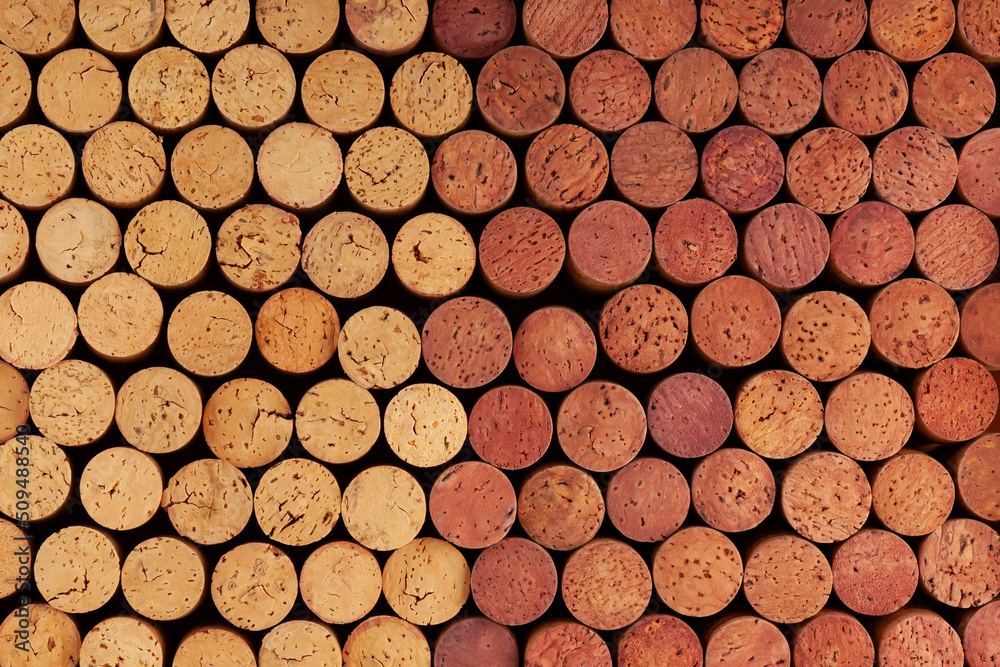 Different bottle corks, top view. Many corks of white and red wine ...