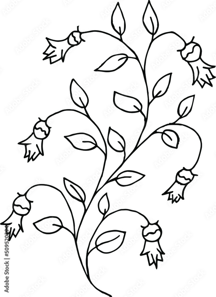 Vector simple drawing of a plant. plant for decoration. Stock Vector ...