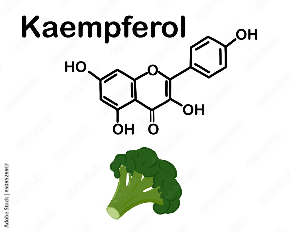 Kaempferol 3 4 5 7 tetrahydroxyflavone Is A Natural Flavonol A Type Kaempferol 3 4 5 7 tetrahydroxyflavone Is A Natural Flavonol A Type