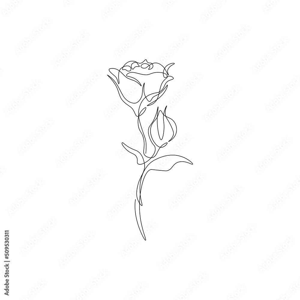 Continuous one line design of roses for posters. Linear rose drawing ...