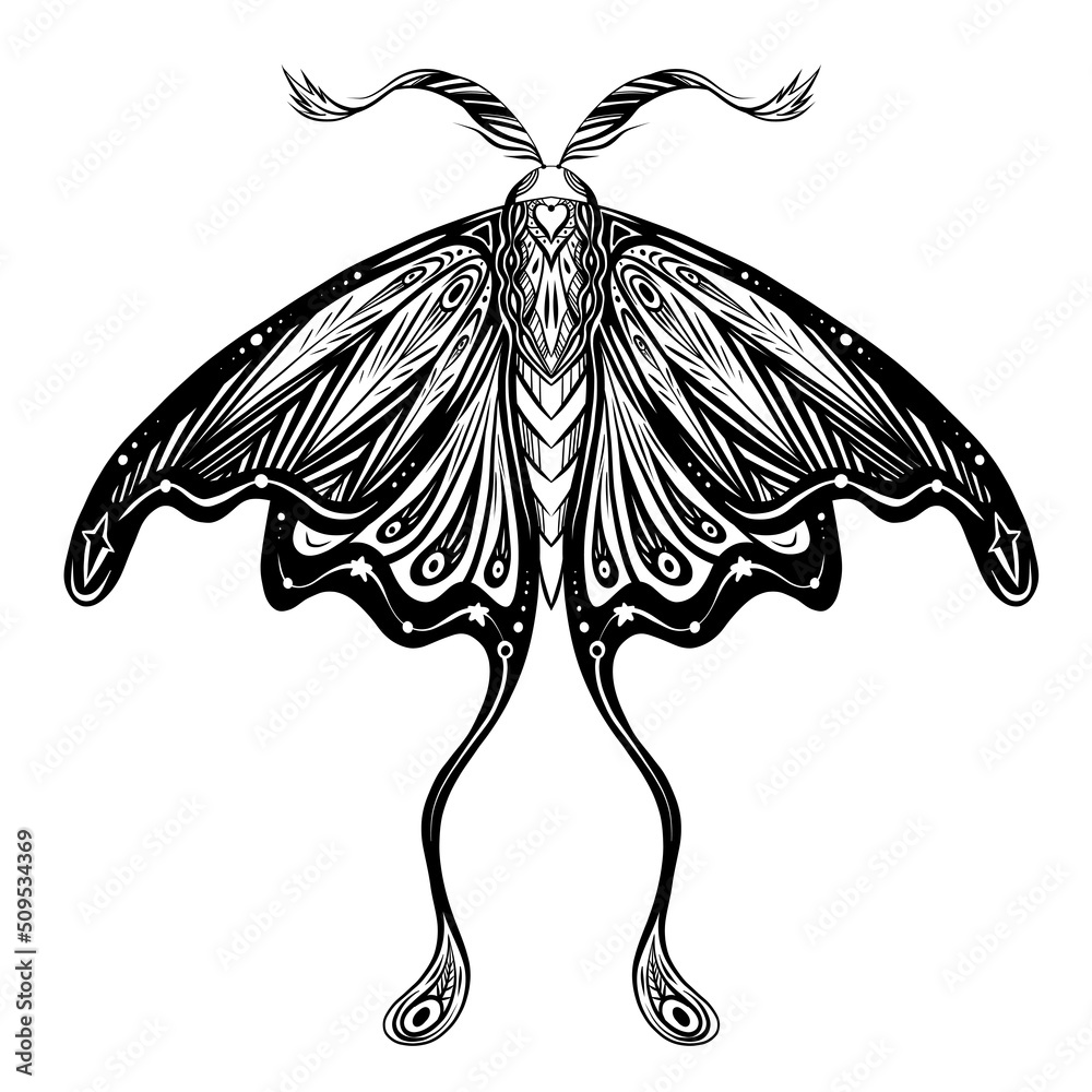 Vector drawing of a moth tattoo with antennae. Monochrome drawing of a ...