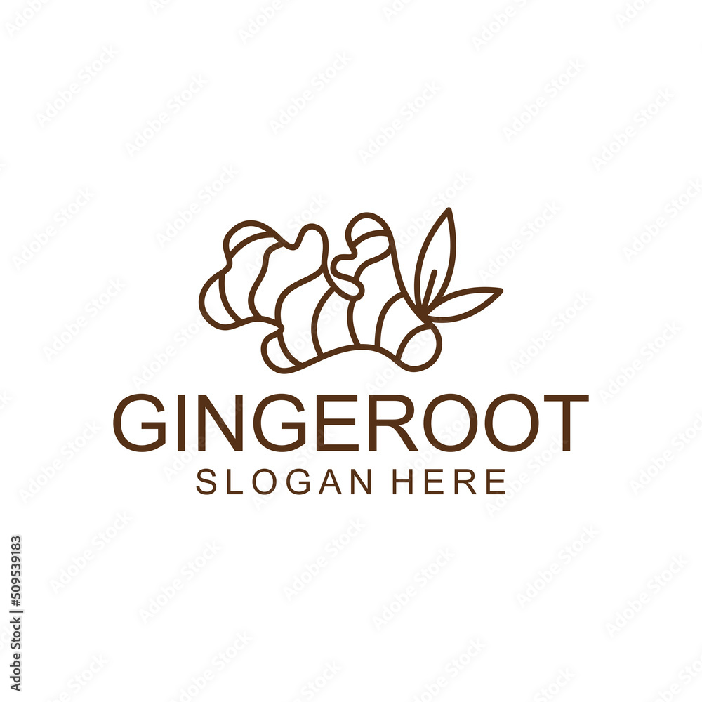 Ginger root logo. Round linear logo of ginger on white background Stock ...