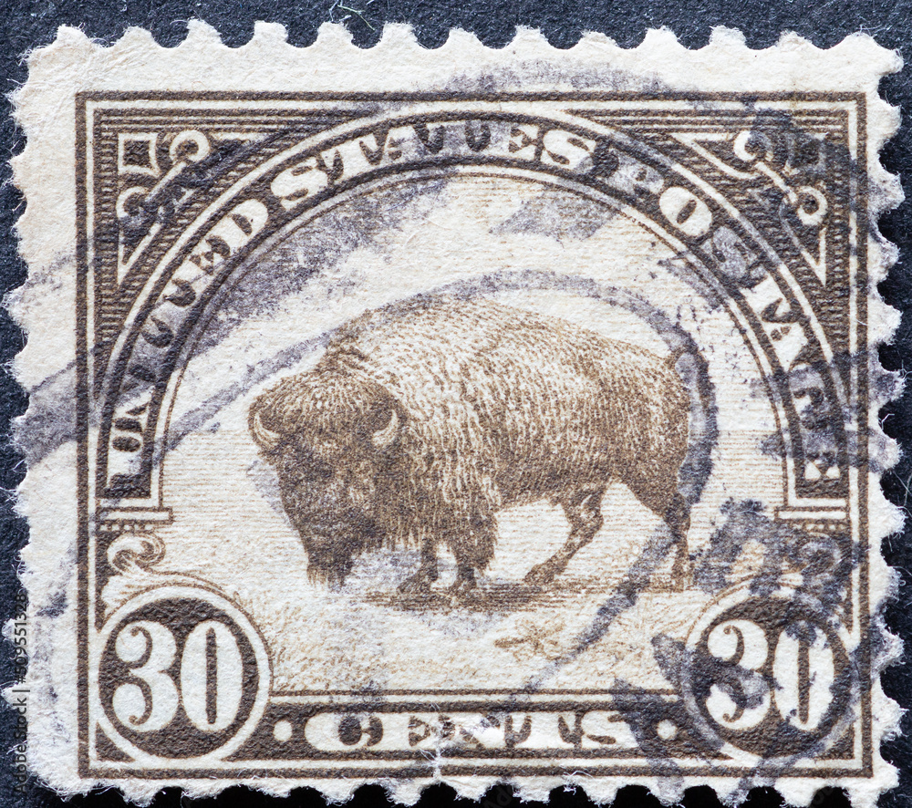 UNITED STATES - CIRCA 1923: a postage stamp from UNITED STATES ...
