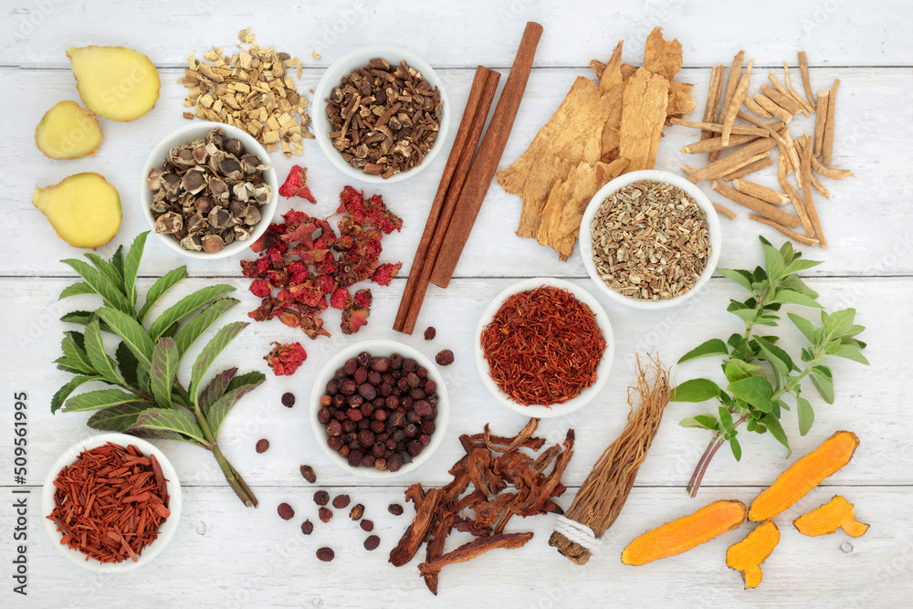 Herbs and spices fresh and dried for immune system boost on rustic wood ...