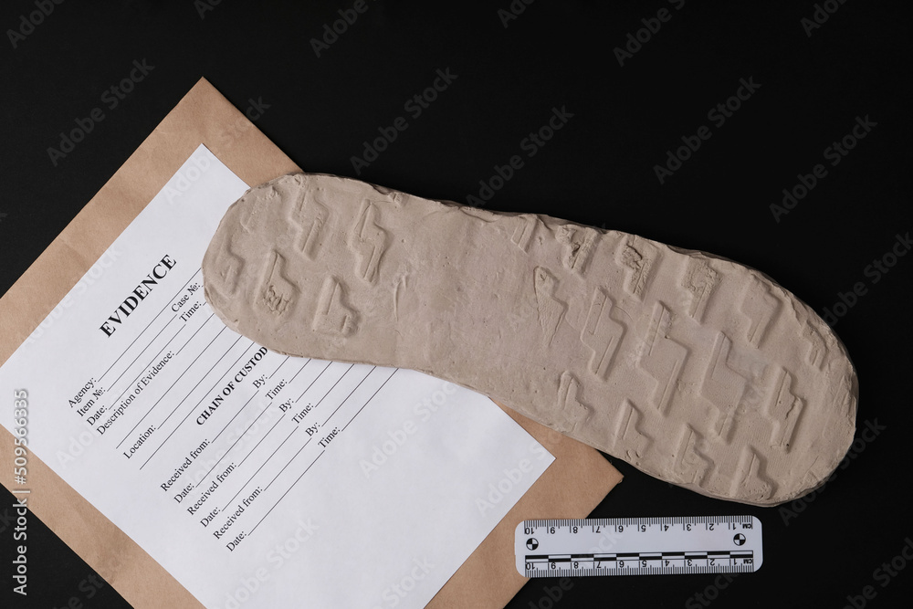 shoe footprint forensic evidence - analysis of plaster cast in police ...