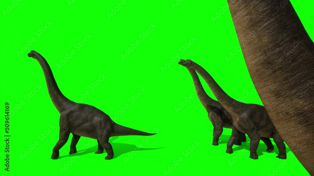Brachiosaurus, sauropod walking and eating leaves from trees. Green ...