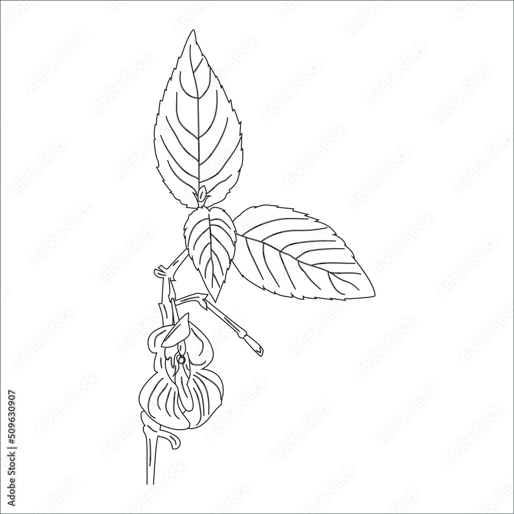 Line art coloring book page with roses and leaves. Vector illustration ...