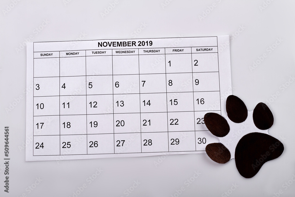 International pet day concept. November calendar on white background ...