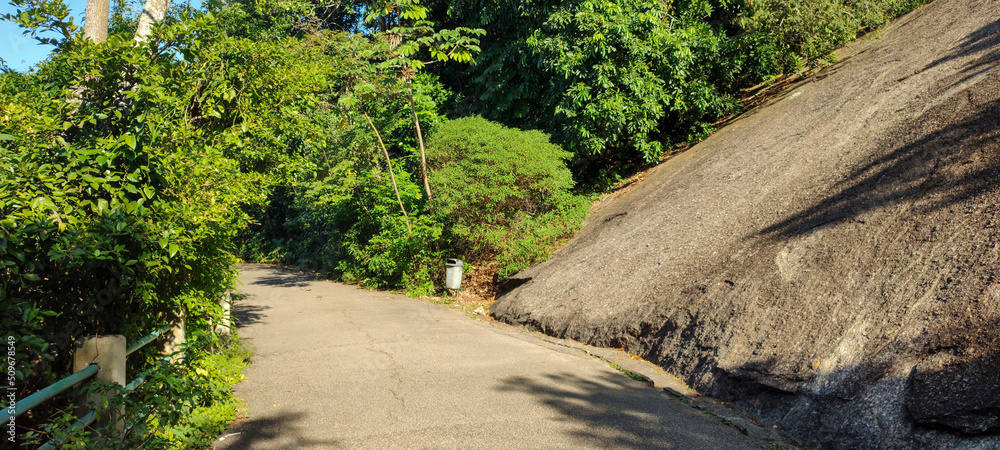 texture stone mineral granite marble nature hill forest vegetation tree ...