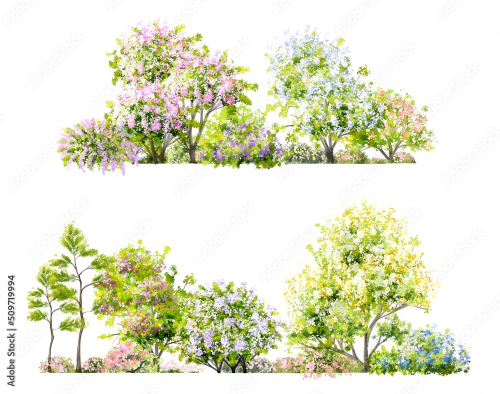 watercolor blooming flower tree side view isolated on white background ...