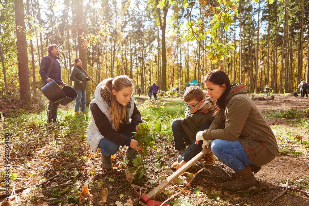 Mutter und Kinder pflanzen einen Baum zusammen im Wald Stock Photo ...