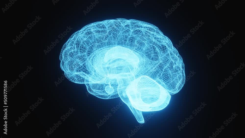 Seamless looping glowing X-ray image of human brain motion rotating 360 ...