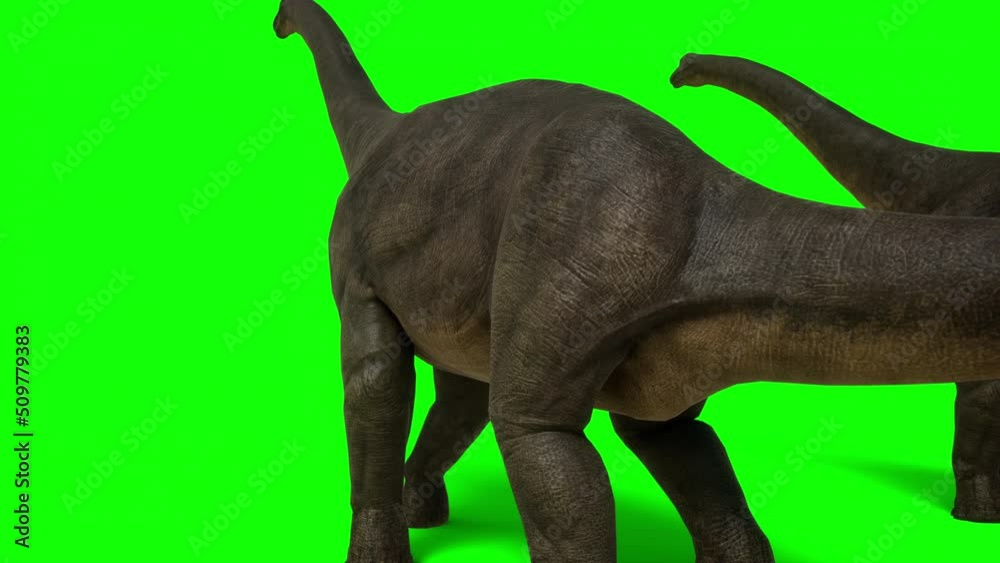 Brachiosaurus, sauropod walking and eating leaves from trees. Green ...