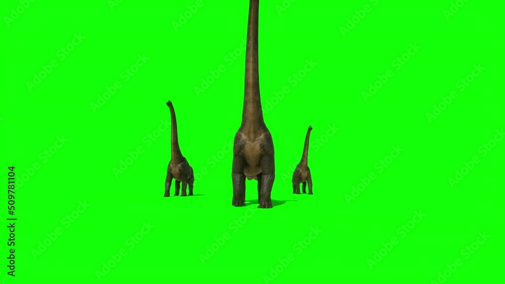 Brachiosaurus, sauropod walking and eating leaves from trees. Green ...