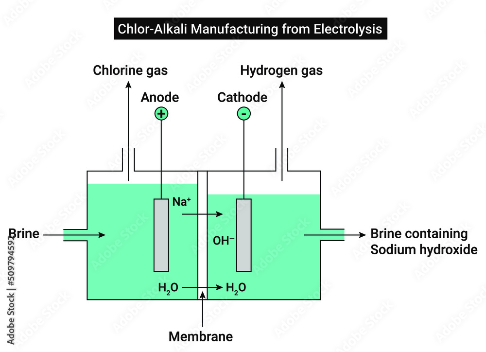 Chlor-Alkali Manufacturing from Electrolysis Stock Vector | Adobe Stock