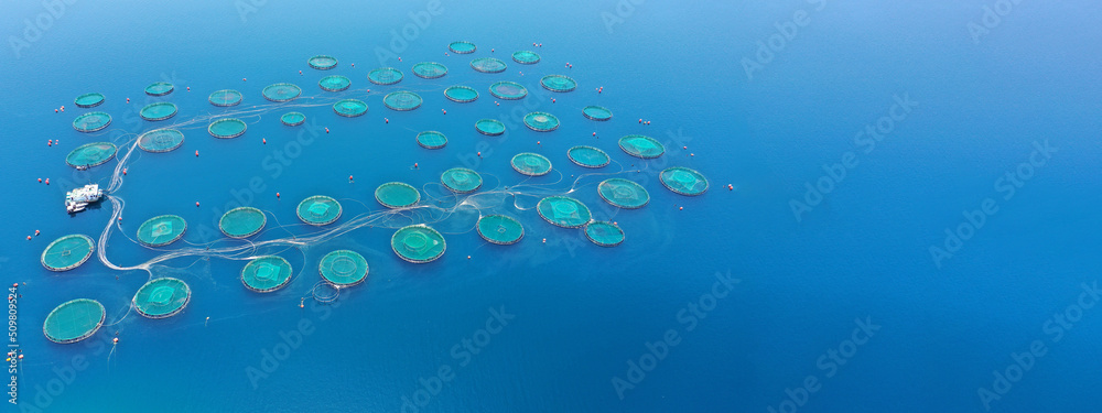 Aerial drone ultra wide photo with copy space of fish farming unit of ...