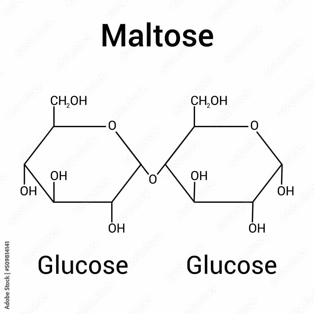 chemical structure of Maltose (C12H22O11) Stock Vector | Adobe Stock