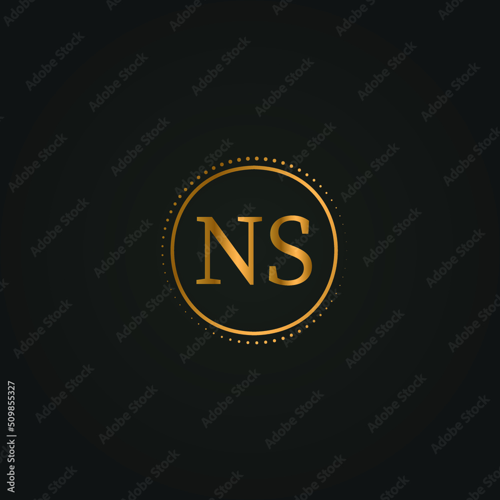 Vecteur Stock NS letter design for logo and icon.NS monogram logo ...