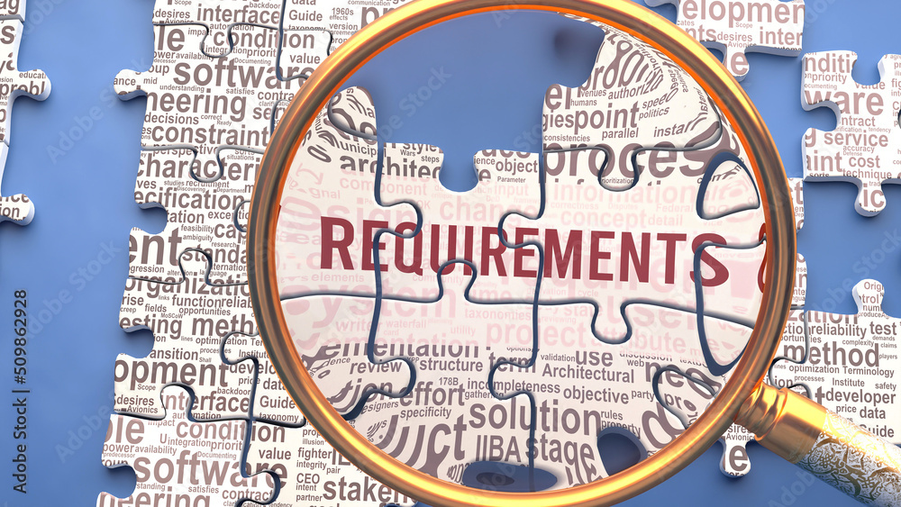 Requirements as a complex and multipart topic under close inspection ...