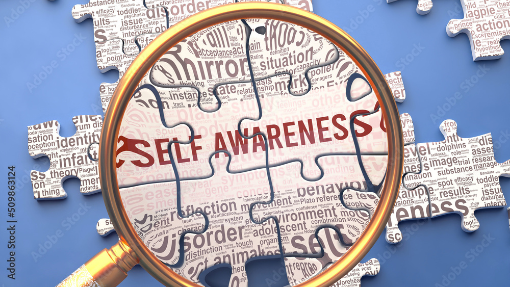 Self awareness as a complex and multipart topic under close inspection ...