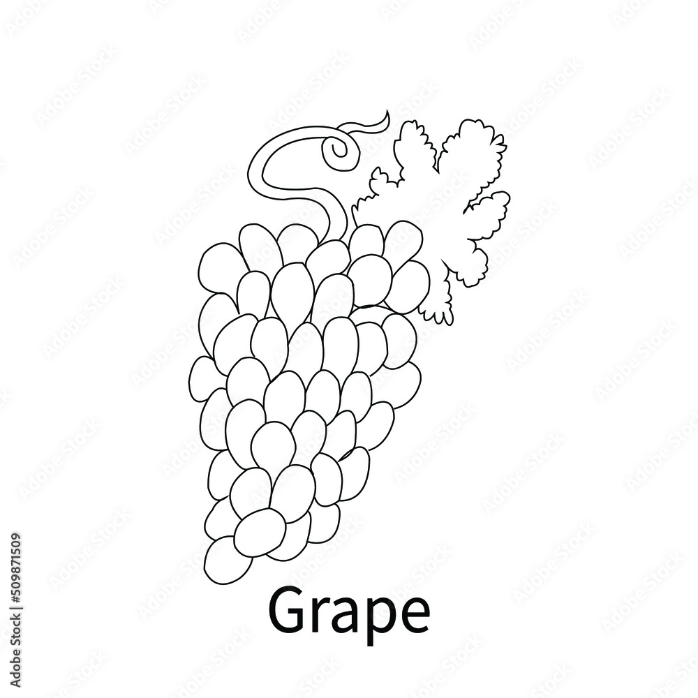 Easy Fruits coloring pages for kids and children, simple fruit arts ...