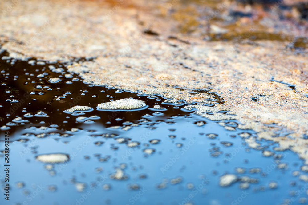 Mold floats in dirty water, dirty swamp. water pollution Stock Photo ...