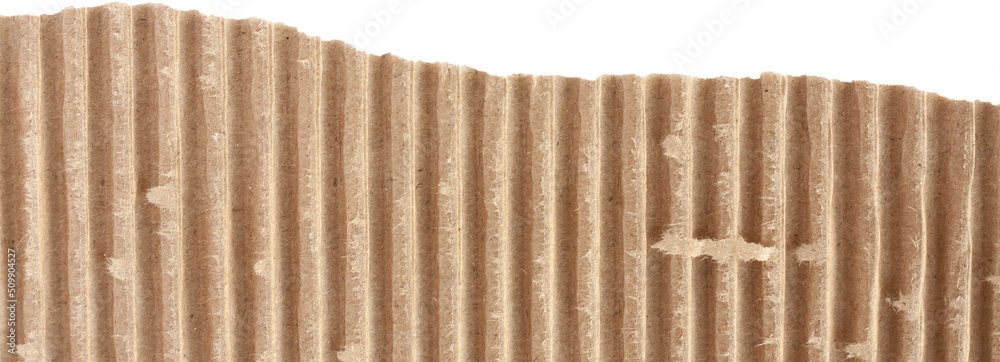 old torn element frame d cardboard sheet | Uwalls.co.uk