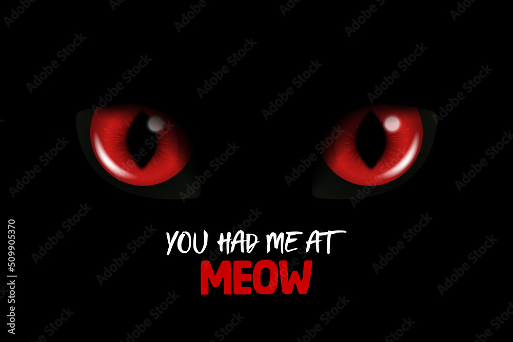 Cat Eyes In The Dark Wallpaper