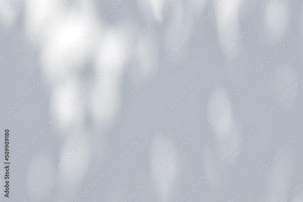 Shadow Photo Overlays 07 Stock Photo | Adobe Stock