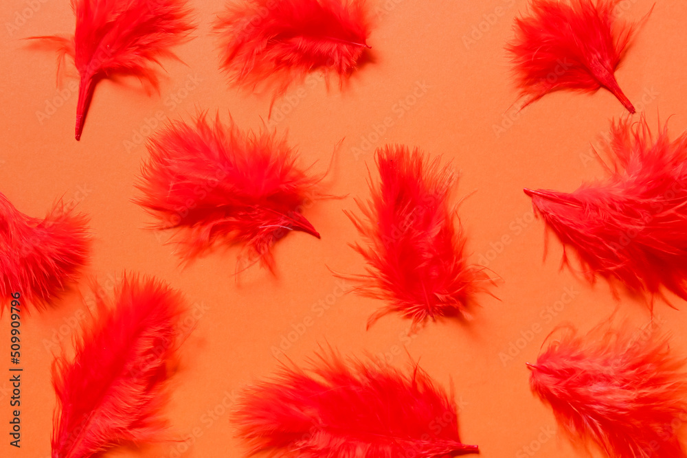 Beautiful red feathers on color background Stock Photo | Adobe Stock