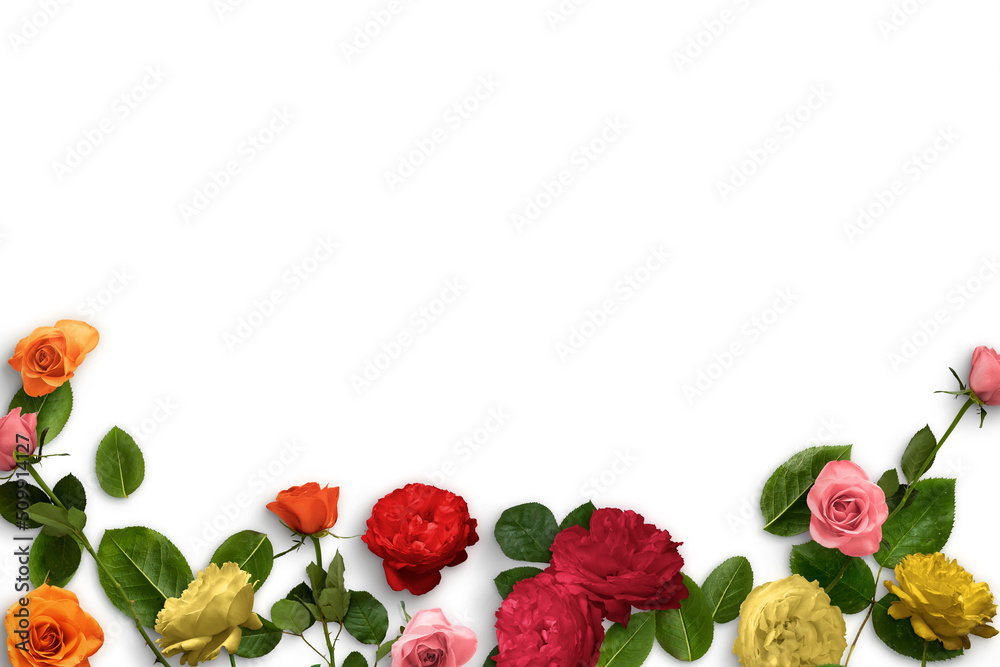 Roses Floral Frame Stock 写真 | Adobe Stock