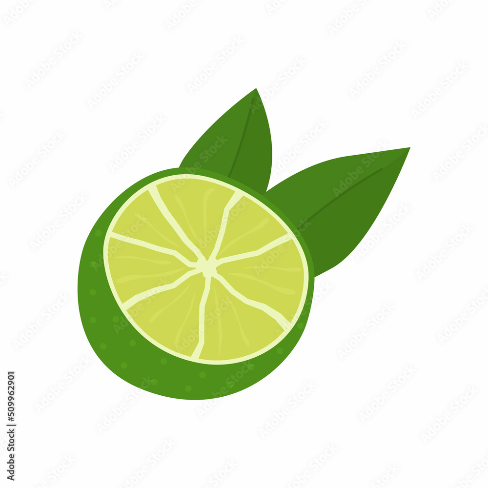 Key lime cutted in half with green leaf. Composition with citrus and ...