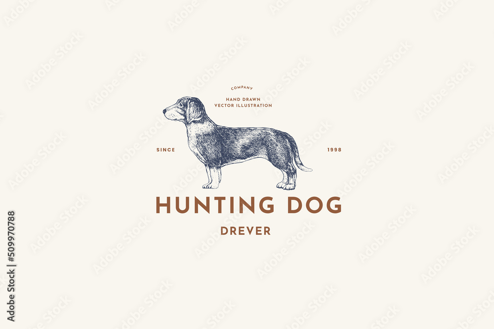 Logo template with a hunting dog in the style of engraving. Emblem with ...