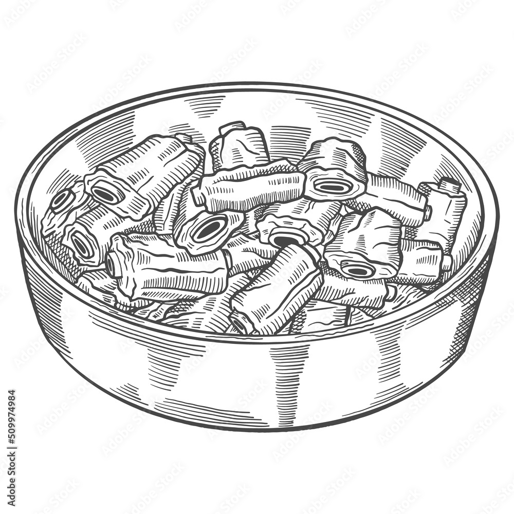 pork ribs korea or korean cuisine traditional food isolated doodle hand ...