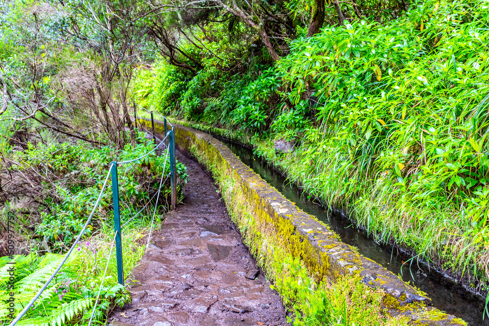 PR6 Levada das 25 Fontes / Levada do Risco, Madeira, Portugal Stock ...