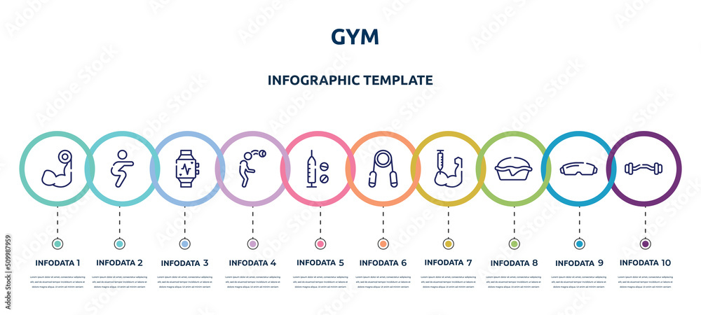gym concept infographic design template. included biceps curl, squats ...