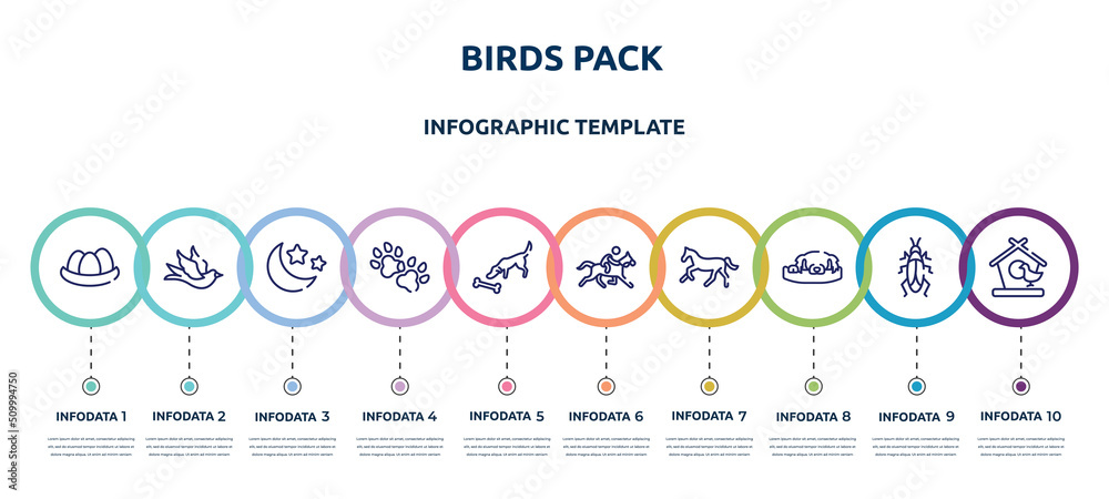 birds pack concept infographic design template. included egg in a nest ...
