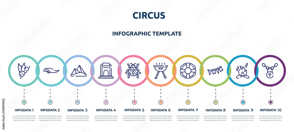 circus concept infographic design template. included beet, sea cow ...