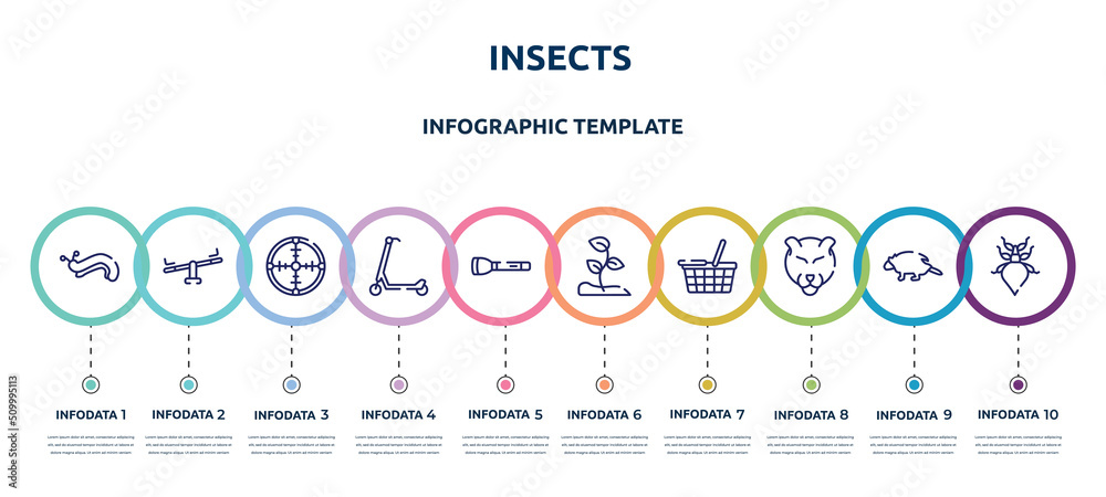 insects concept infographic design template. included slug, seesaw ...