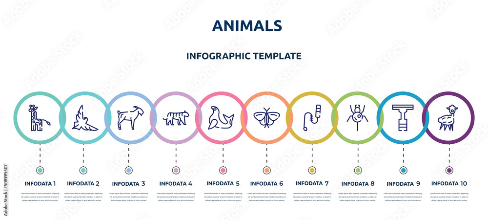 animals concept infographic design template. included giraffe, eagle ...