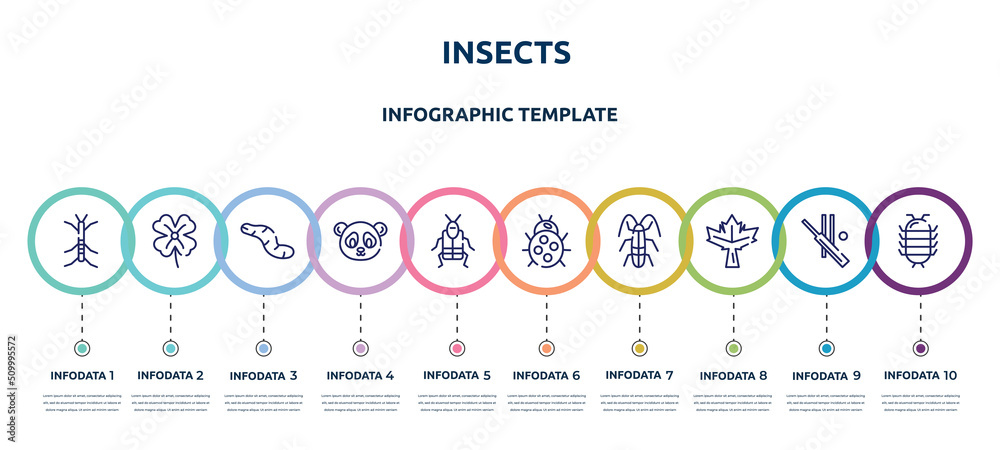 insects concept infographic design template. included stick insect ...