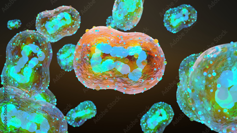 Monkeypox infection pandemic. monkeypox cell, symptoms or precautions ...