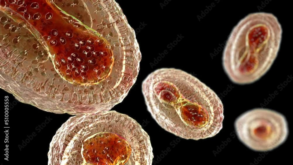 Monkeypox virus, 3D animation. A zoonotic virus from Poxviridae family ...