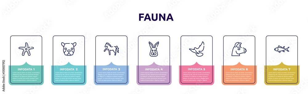 fauna concept infographic design template. included starfish with dots ...